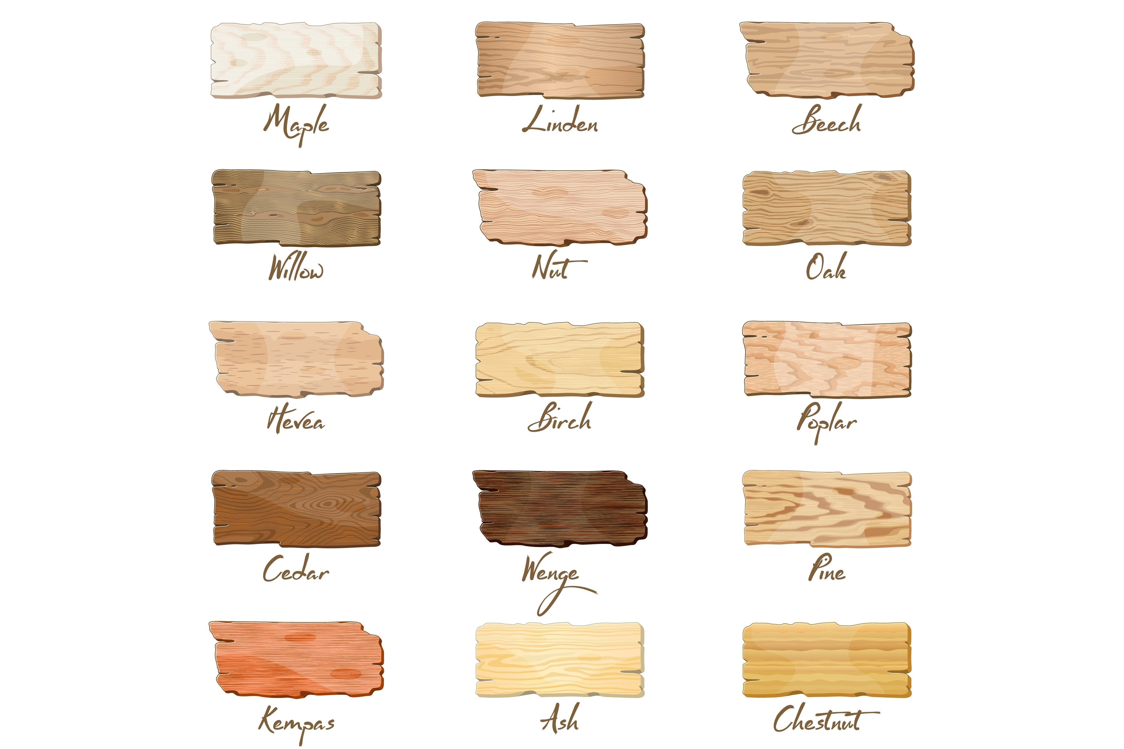 Type of Wood for Durable Furniture: Essential Guide in 2024 — The Panel Hub